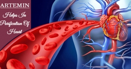 Treatment for Heart Disease or Cardiovascular Disease - Cardimin